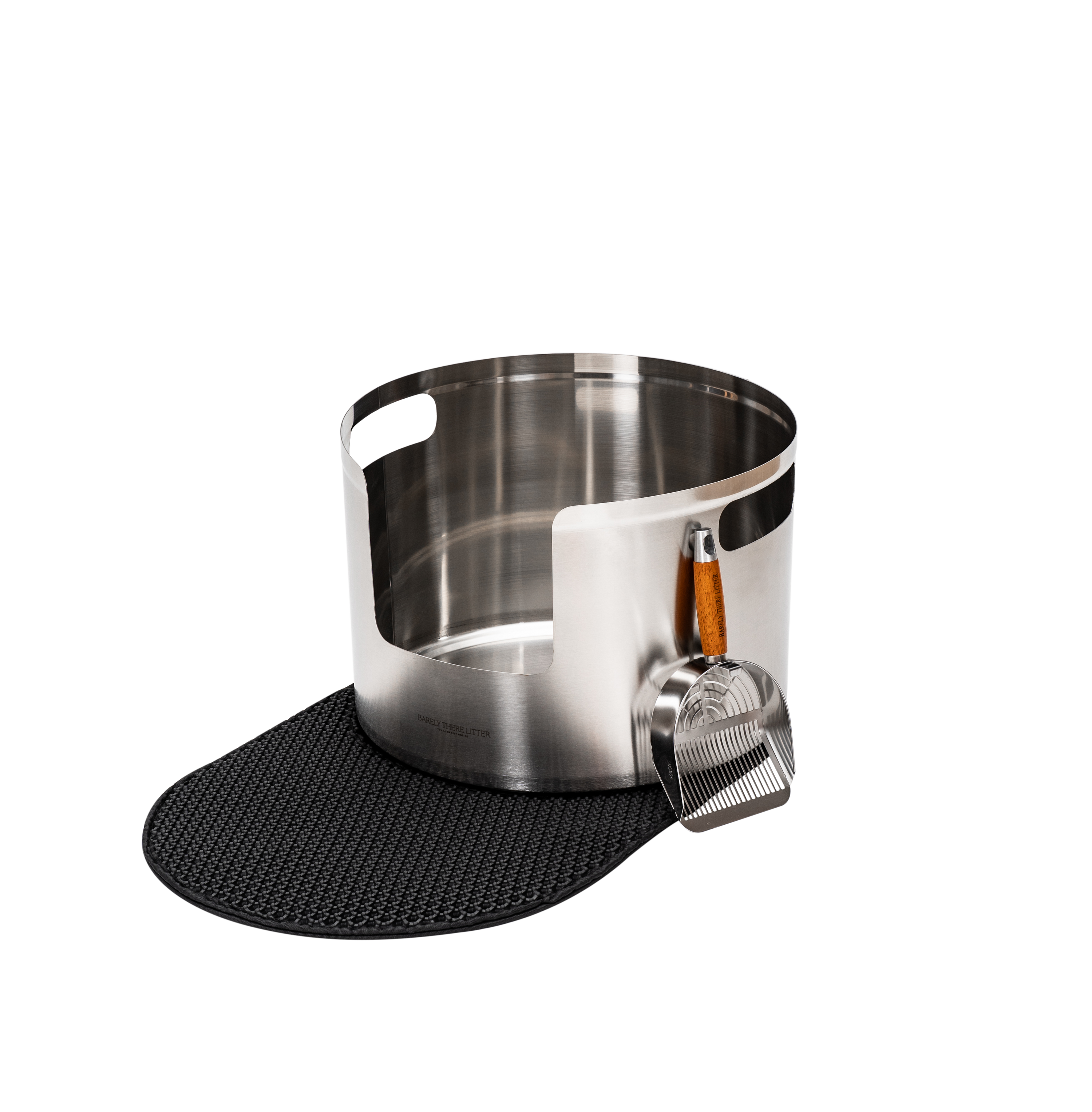 Understanding Kitten Poop: What’s Normal and What’s Not – Barely There ...