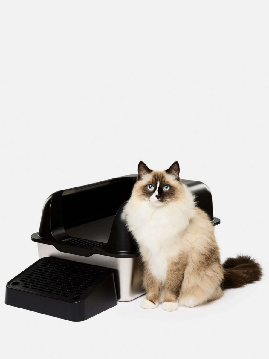 Stainless Steel Litter Boxes for Cats | Barely There Litter
